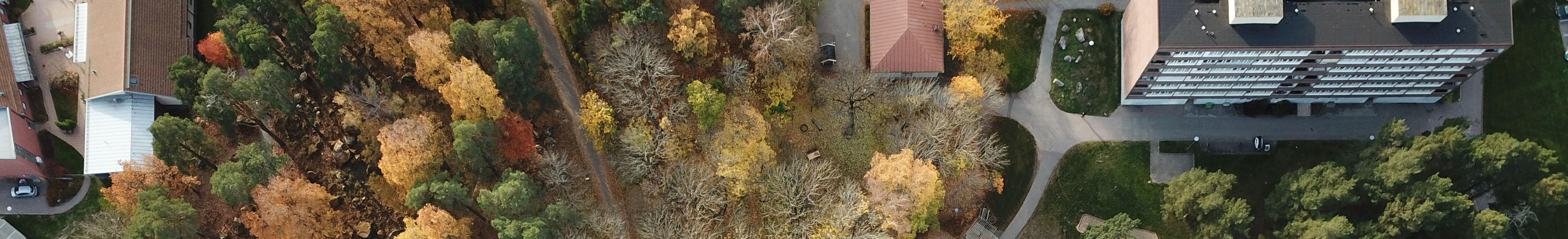 Willhem AB, Bostadsbolag med förvaltning & uthyrning av hyreslägenheter.